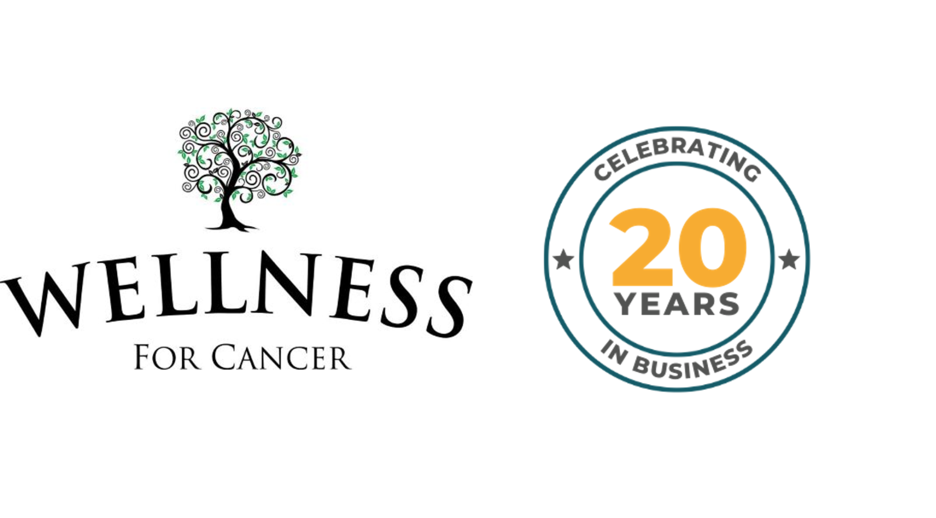 Wellness for Cancer: Life Does not Stop with Cancer